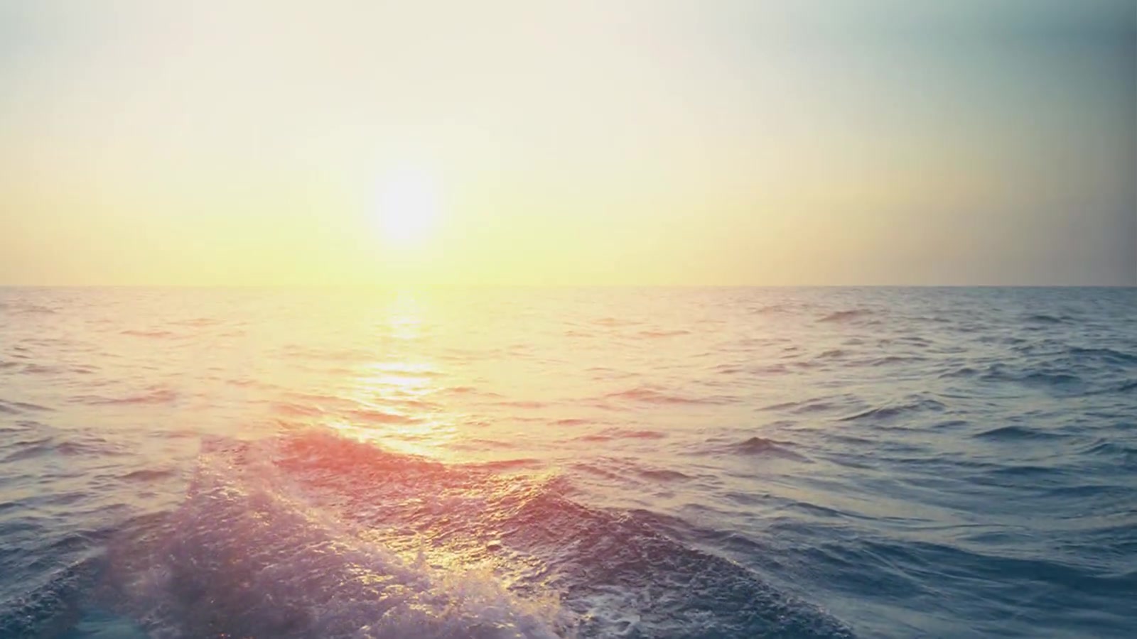 Consenso Global - Translation Services